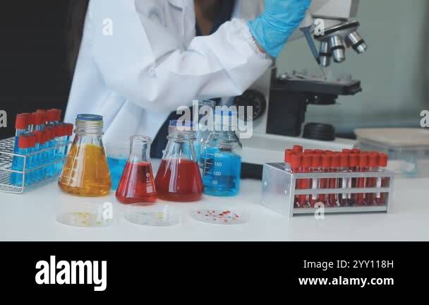 laboratory scientist working with sample sample in laboratory Stock ...