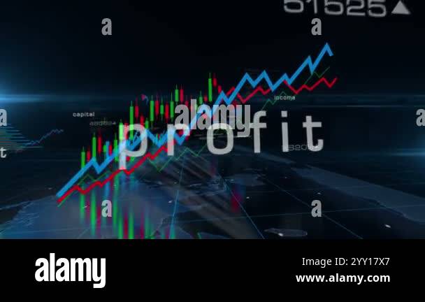 Business profit income and capital charts and graphs diagram seamless ...