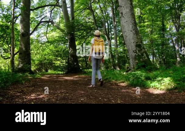 Woman hiking with backpack through a lush forest, enjoying the natural ...