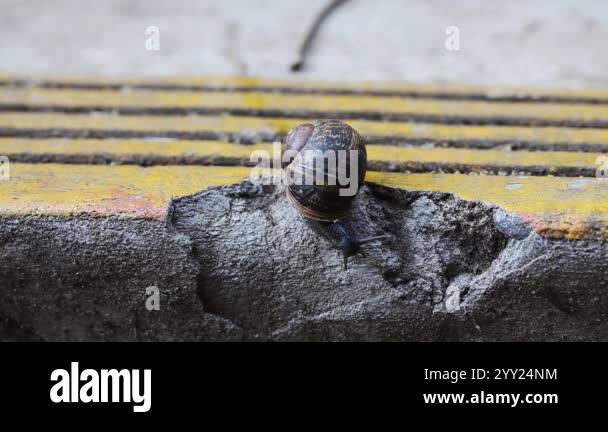 Chipped concrete Stock Videos & Footage - HD and 4K Video Clips - Alamy