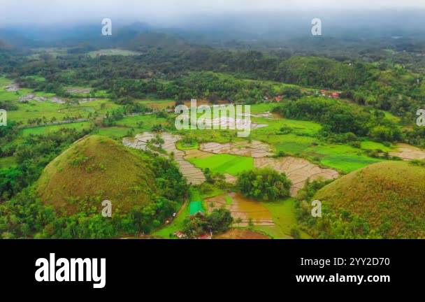 Aerial drone view Chocolate Hills and Rice Terraces Bohol Island ...