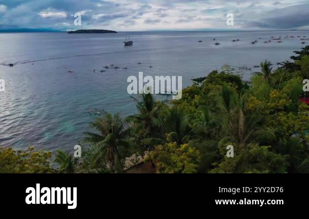 Aerial drone view of tropical coastline of Bohol Island at sunset ...
