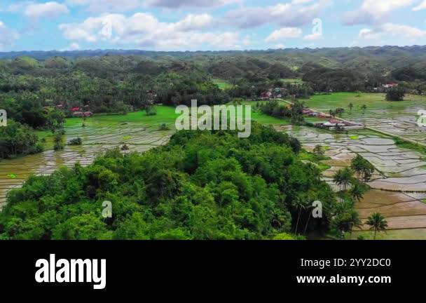 Aerial drone view Chocolate Hills and Rice Terraces Bohol Island ...