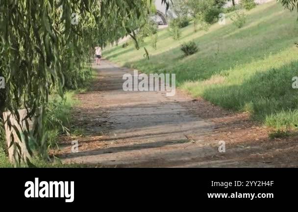 A wonderfully serene and meandering pathway winds gracefully through ...