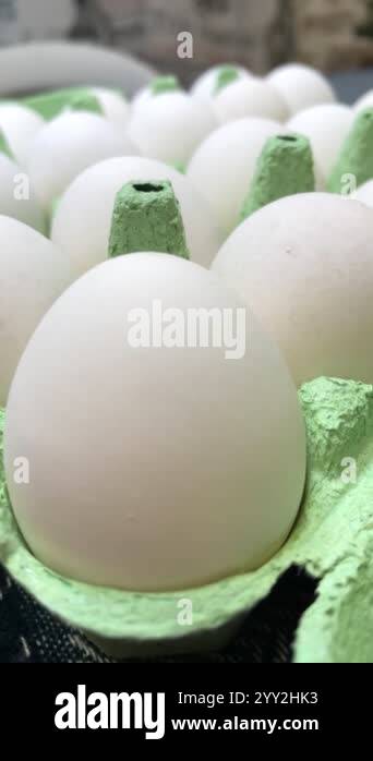 Eggs, egg, white, yolk, shell, protein, food, eat, cook, kitchen, table ...