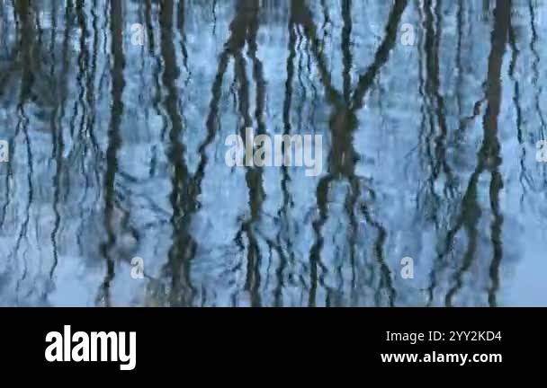 Body trunk scene Stock Videos & Footage - HD and 4K Video Clips - Alamy