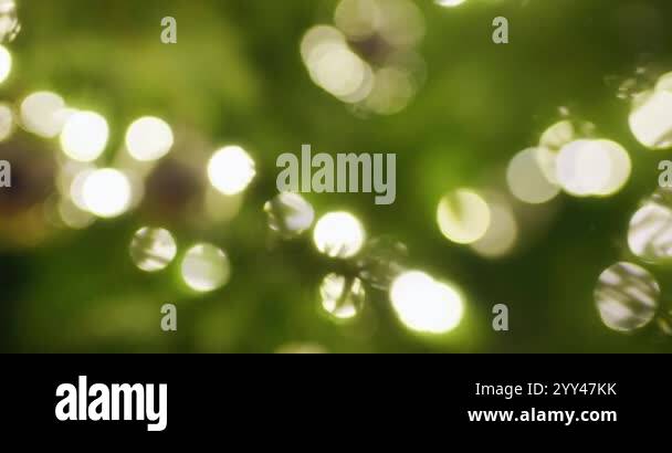 Soft bokeh of twinkling Christmas lights on a beautifully decorated ...