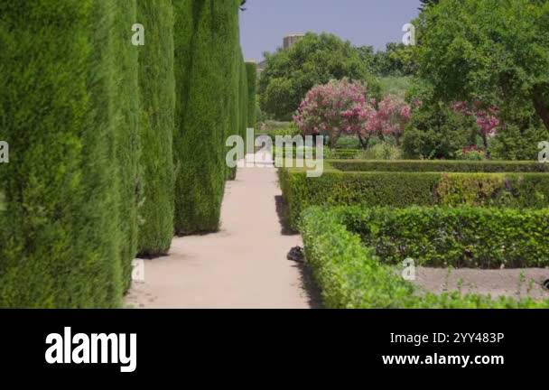 A serene pathway cuts through a vibrant garden, bordered by neatly ...
