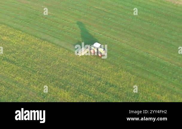 Ripe grass Stock Videos & Footage - HD and 4K Video Clips - Alamy