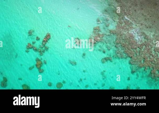 Aerial woman swimming crystal turquoise sea water. Female in bikini ...