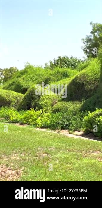 Park, lush hedges create eco-friendly landscape, biodiversity hotspot ...