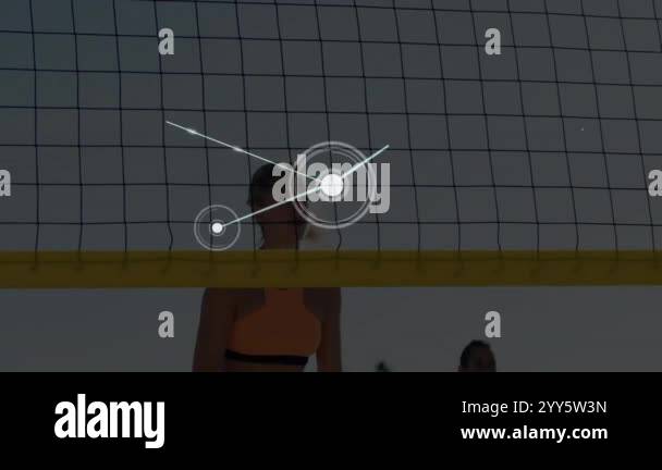 Playing volleyball, players under network connections animation in ...