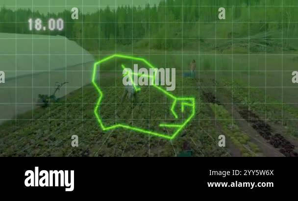 Geometric green lines forming animal animation over people working in ...