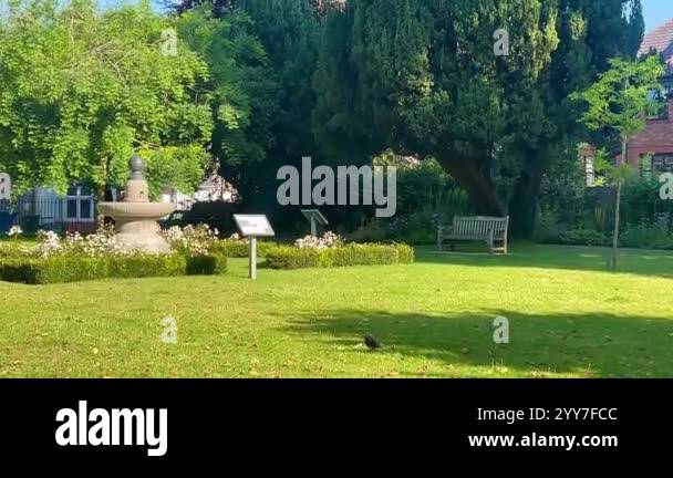 Shaded garden seating Stock Videos & Footage - HD and 4K Video Clips ...