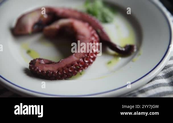 Octopus food seafood octopus tentacles fresh tasty food dish ...