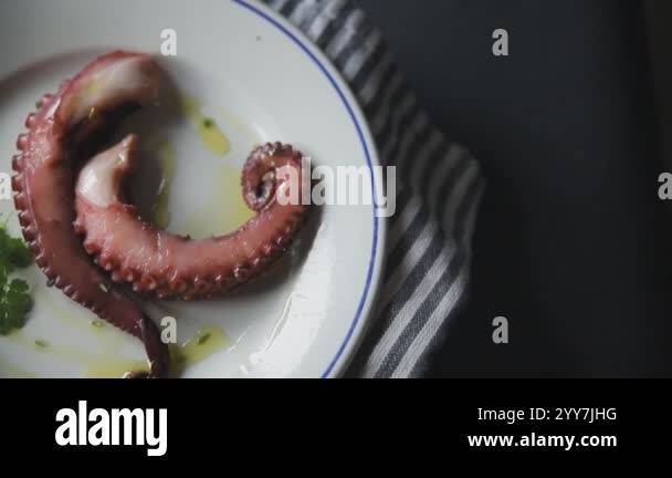 Octopus food seafood octopus tentacles fresh tasty food dish ...