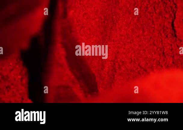 Leatherback sea turtle laying eggs in red lights on the beach in Tobago ...