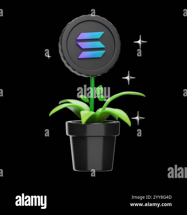 Animated Tree Coin Solana SOL Cryptocurrency. Seamless Looping. Alpha ...