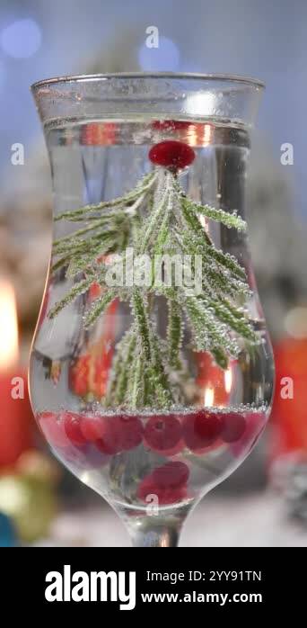 Christmas Snow Globe Cocktail, Rosemary Christmas Tree with Cranberry ...