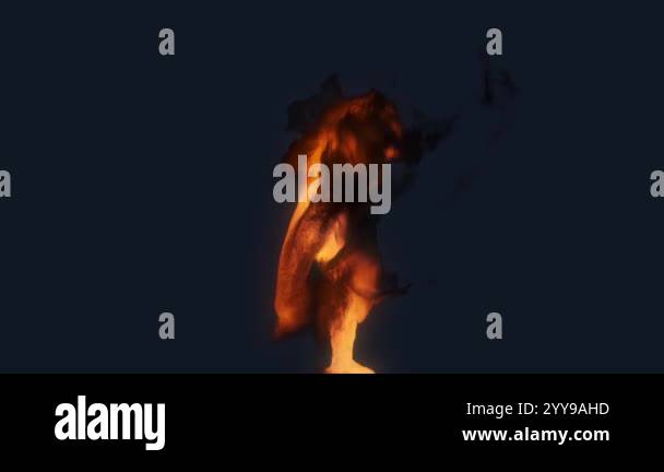 3d Animation of an MMA fighter spirit training. Fighter created from ...