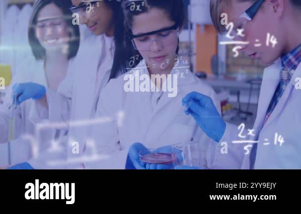 Animation of mathematical equations over diverse students doing ...