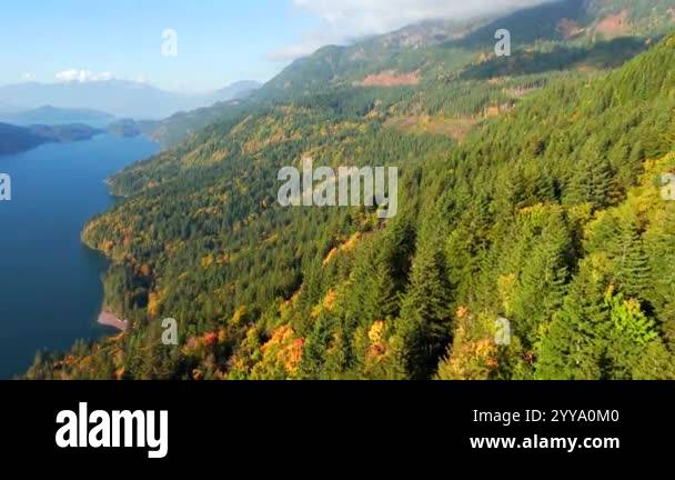 Stunning autumn landscape in Canada. Smooth flight over The Harrison ...