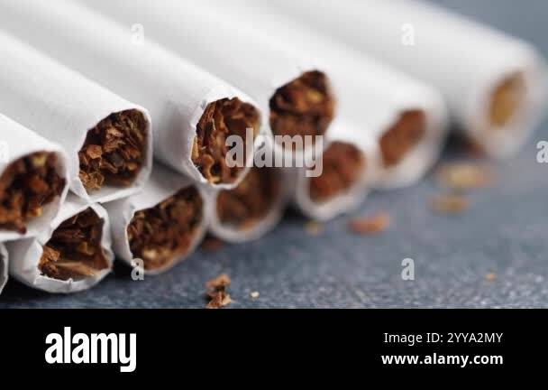 Cigarettes are neatly arranged, showcasing the visible tobacco neatly ...