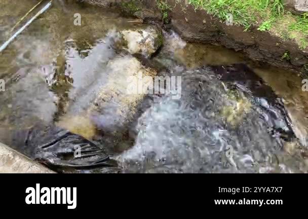 Close up view of river currents or water ripples. Clear fresh water ...