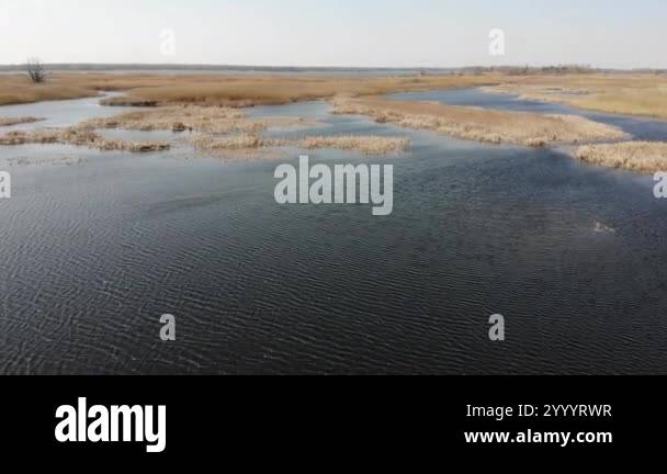 Aerial Drone View on Rive, Lake View from Above, River with Yellow ...