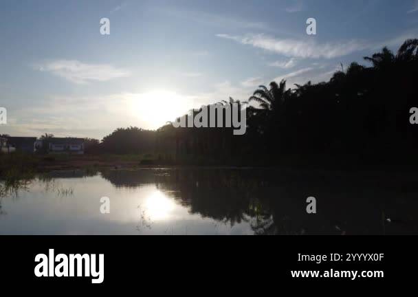 dark early dawn sky around the aquatic vegetation pond outside the residential area Stock Video ...