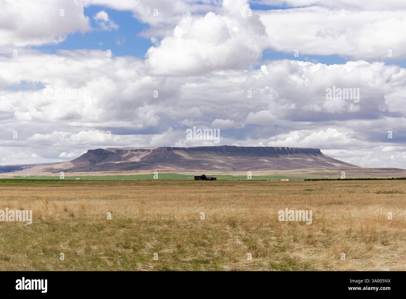 Serene view expansive skies fluffy hi-res stock photography and images ...