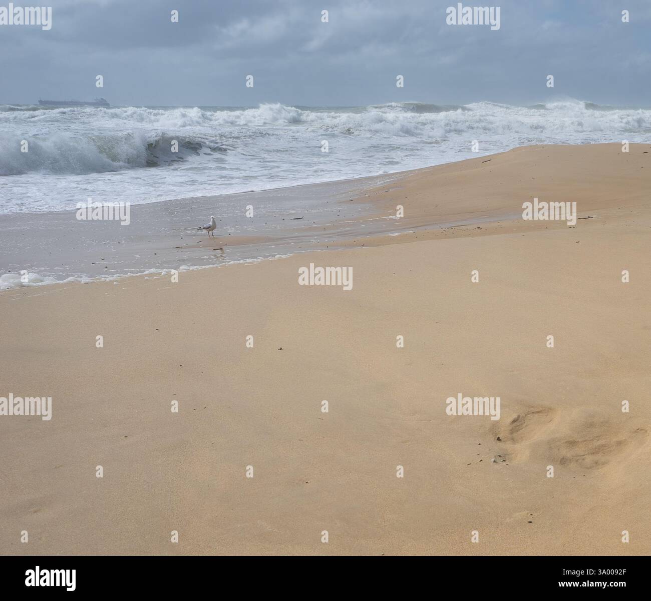 Pre Cyclone Conditions Sunshine Coast Queensland with rough seas, huge ...
