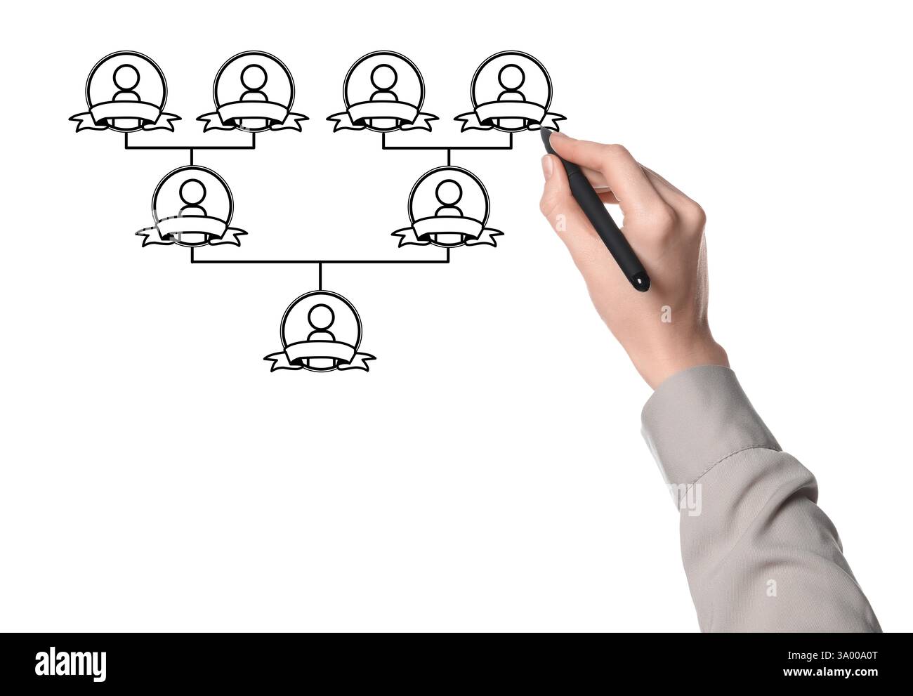 Woman drawing family tree on white background. Scheme with human ...