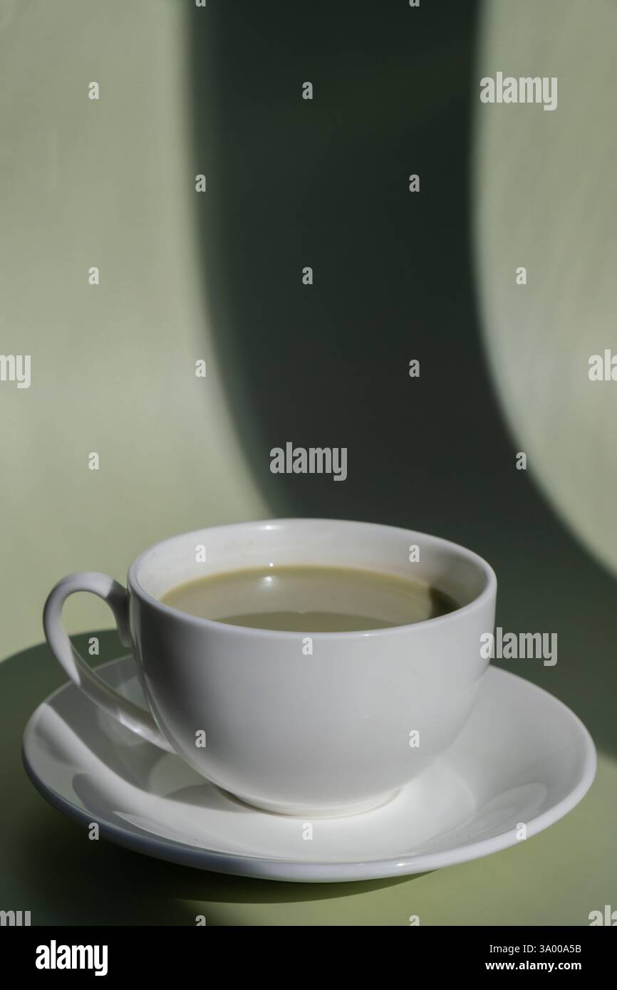 Green latte matcha on pastel background with creative deep shadows ...