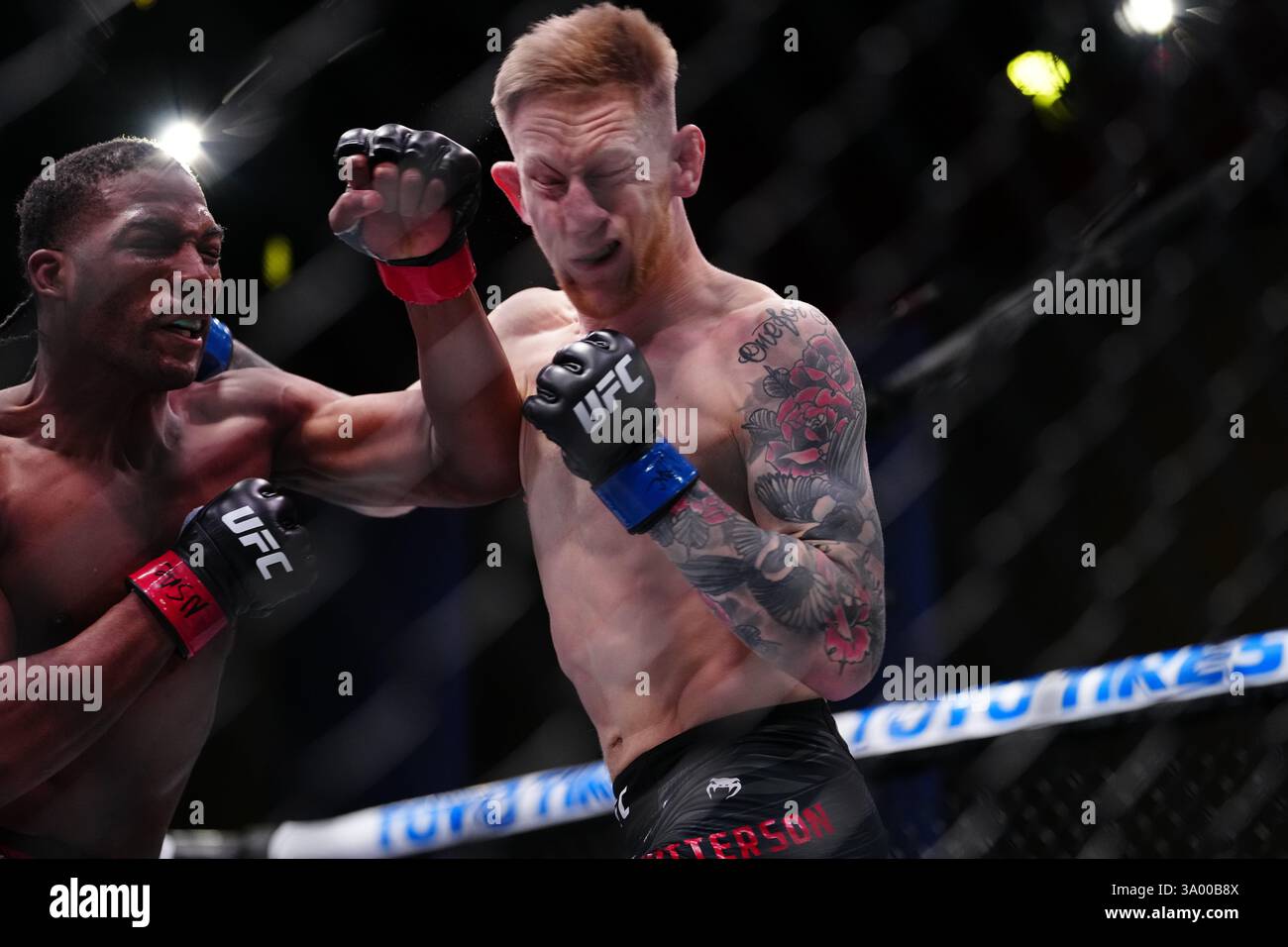 Las Vegas, Nv, United States. 01st Mar, 2025. LAS VEGAS, NV - MARCH 1 ...