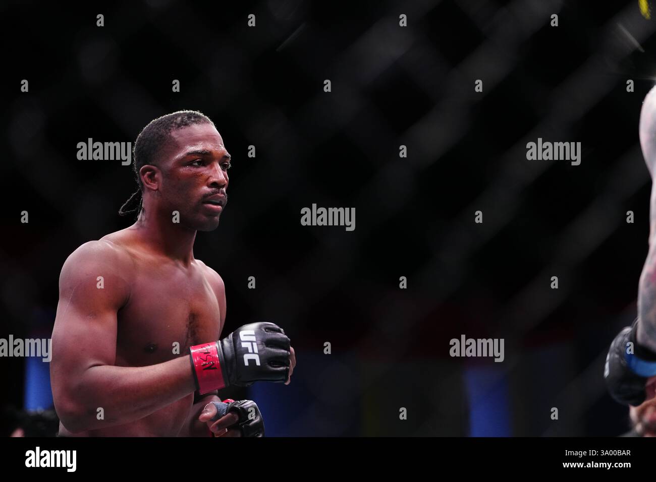 Las Vegas, Nv, United States. 01st Mar, 2025. LAS VEGAS, NV - MARCH 1 ...