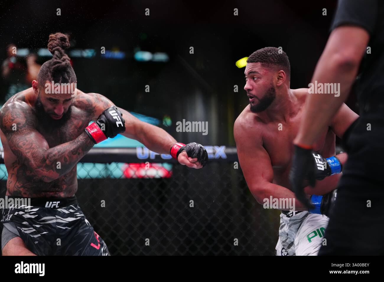 Las Vegas, Nv, United States. 01st Mar, 2025. LAS VEGAS, NV - MARCH 1 ...