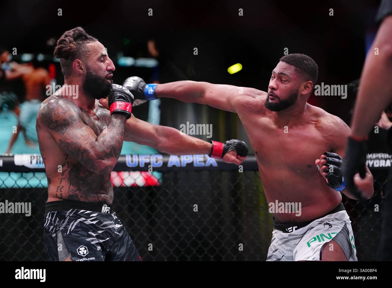 LAS VEGAS, NV - MARCH 1: Austen Lane and Mario Pinto meet in the ...