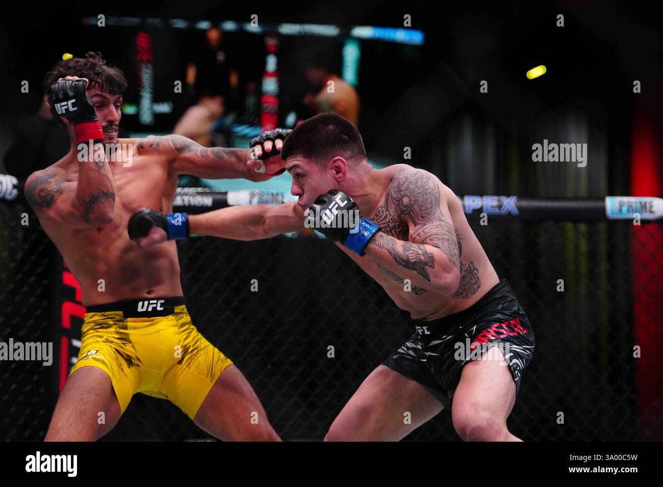 Ricardo ramos and chepe mariscal hi-res stock photography and images ...