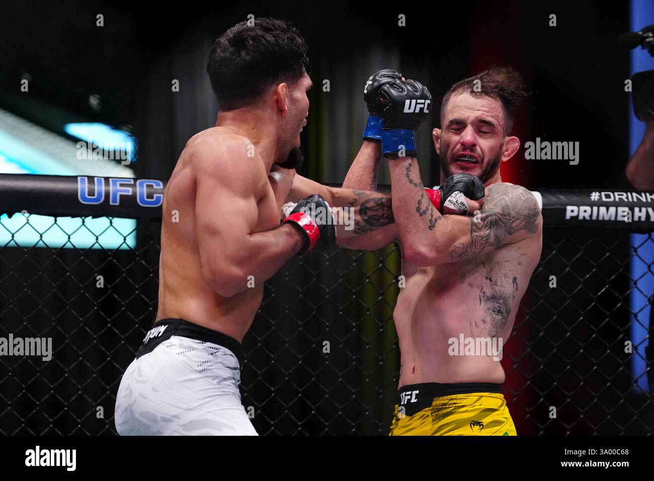 LAS VEGAS, NV - MARCH 1: Danny Silva and Lucas Almeida meet in the ...