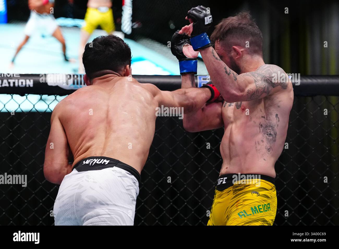 LAS VEGAS, NV - MARCH 1: Danny Silva and Lucas Almeida meet in the ...