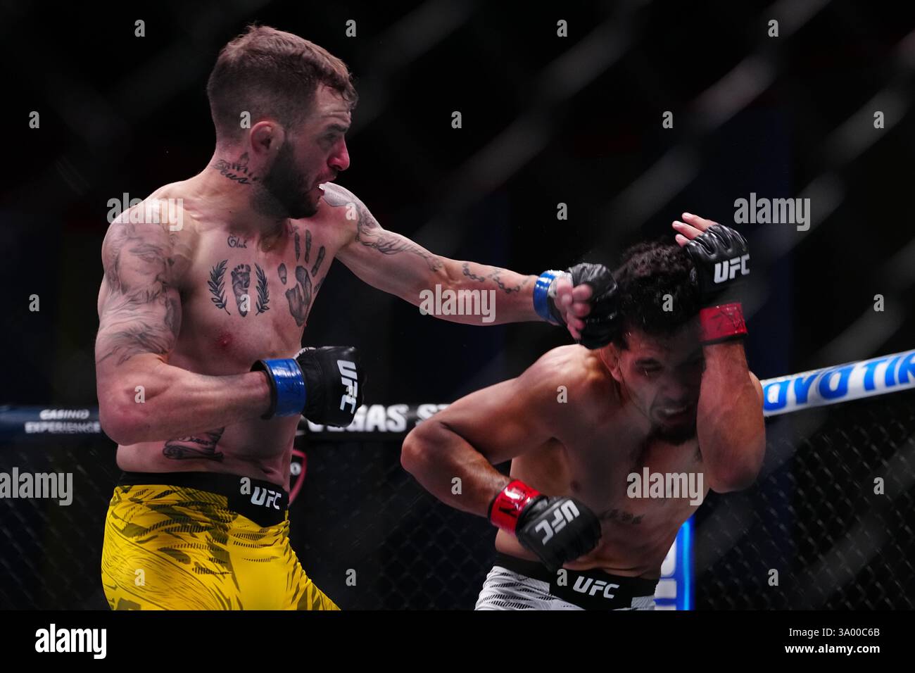 LAS VEGAS, NV - MARCH 1: Danny Silva and Lucas Almeida meet in the ...