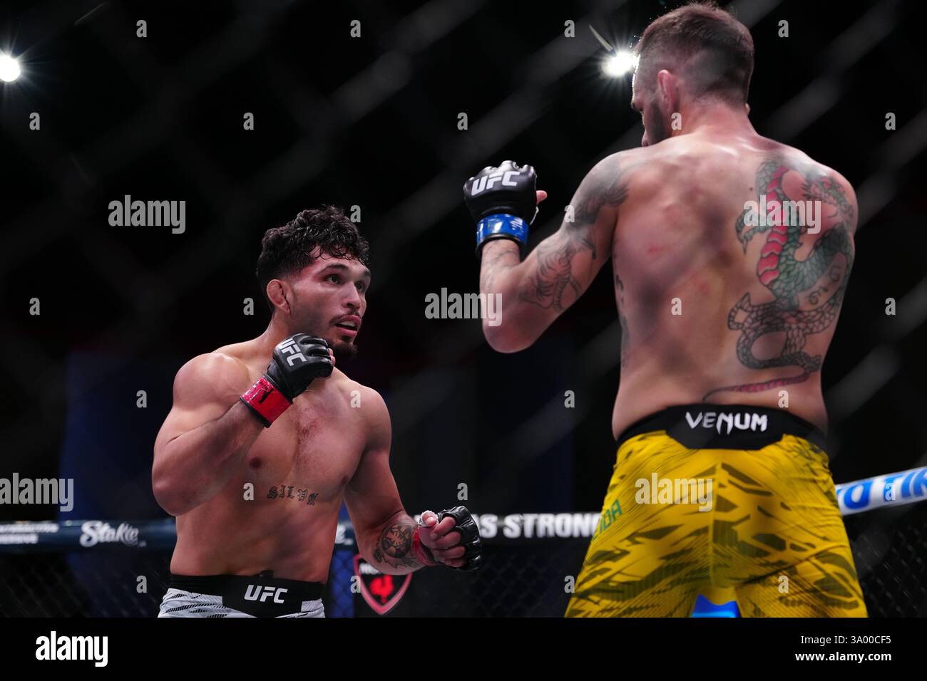 LAS VEGAS, NV - MARCH 1: Danny Silva and Lucas Almeida meet in the ...