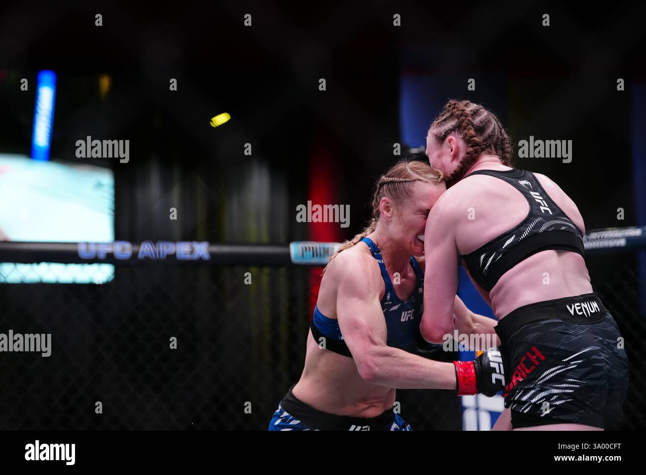 LAS VEGAS, NV - MARCH 1: Andrea Lee and JJ Aldrich meet in the octagon ...