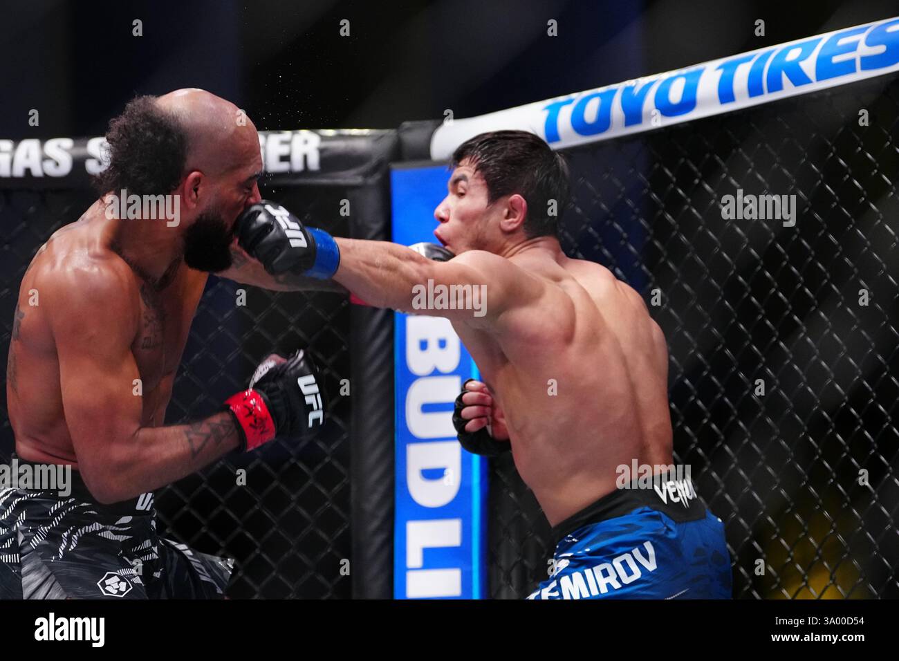 Las Vegas, Nv, United States. 01st Mar, 2025. LAS VEGAS, NV - MARCH 1 ...