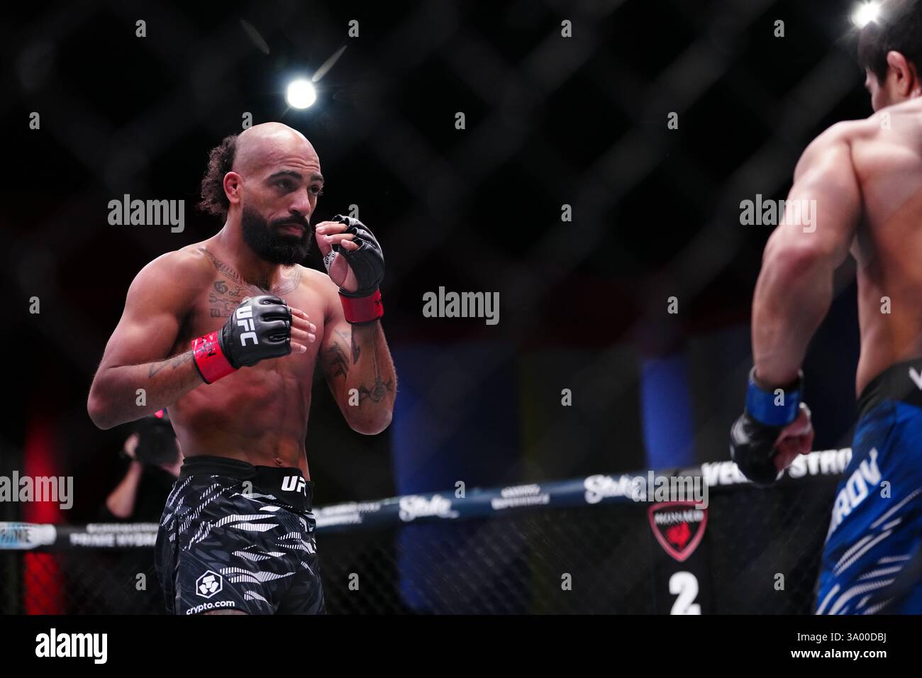 Las Vegas, Nv, United States. 01st Mar, 2025. LAS VEGAS, NV - MARCH 1 ...