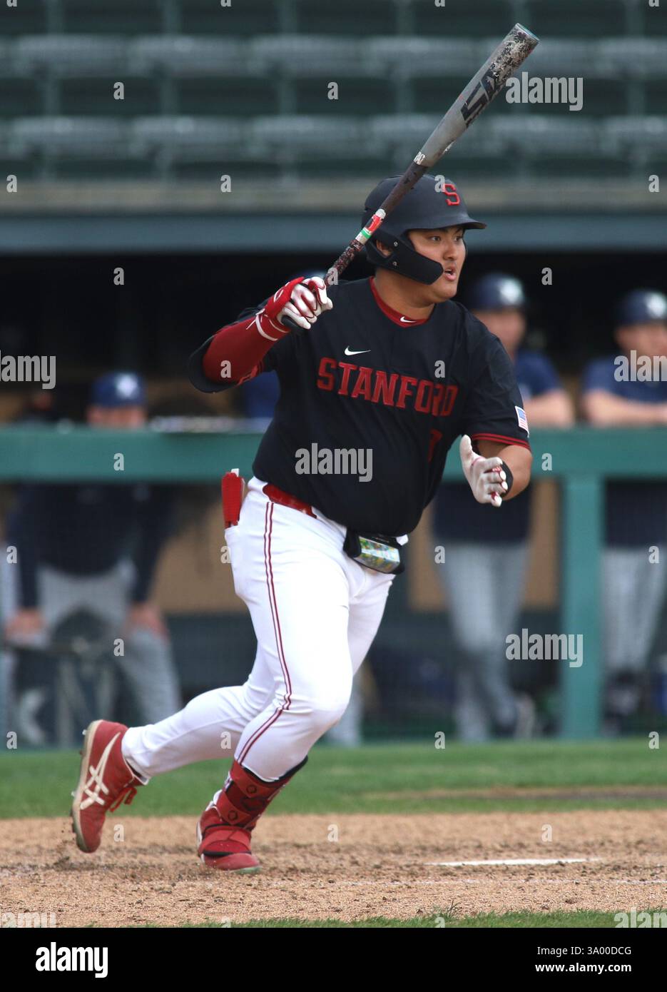 Stanford, United States. 01st Mar, 2025. Stanford baseball player ...