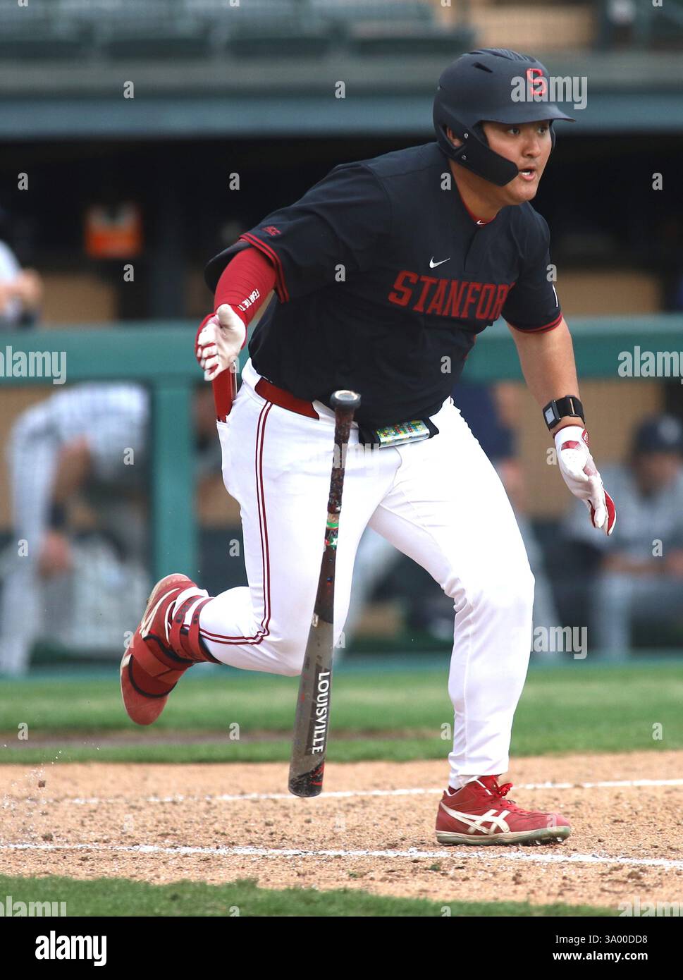 Stanford, United States. 01st Mar, 2025. Stanford baseball player ...