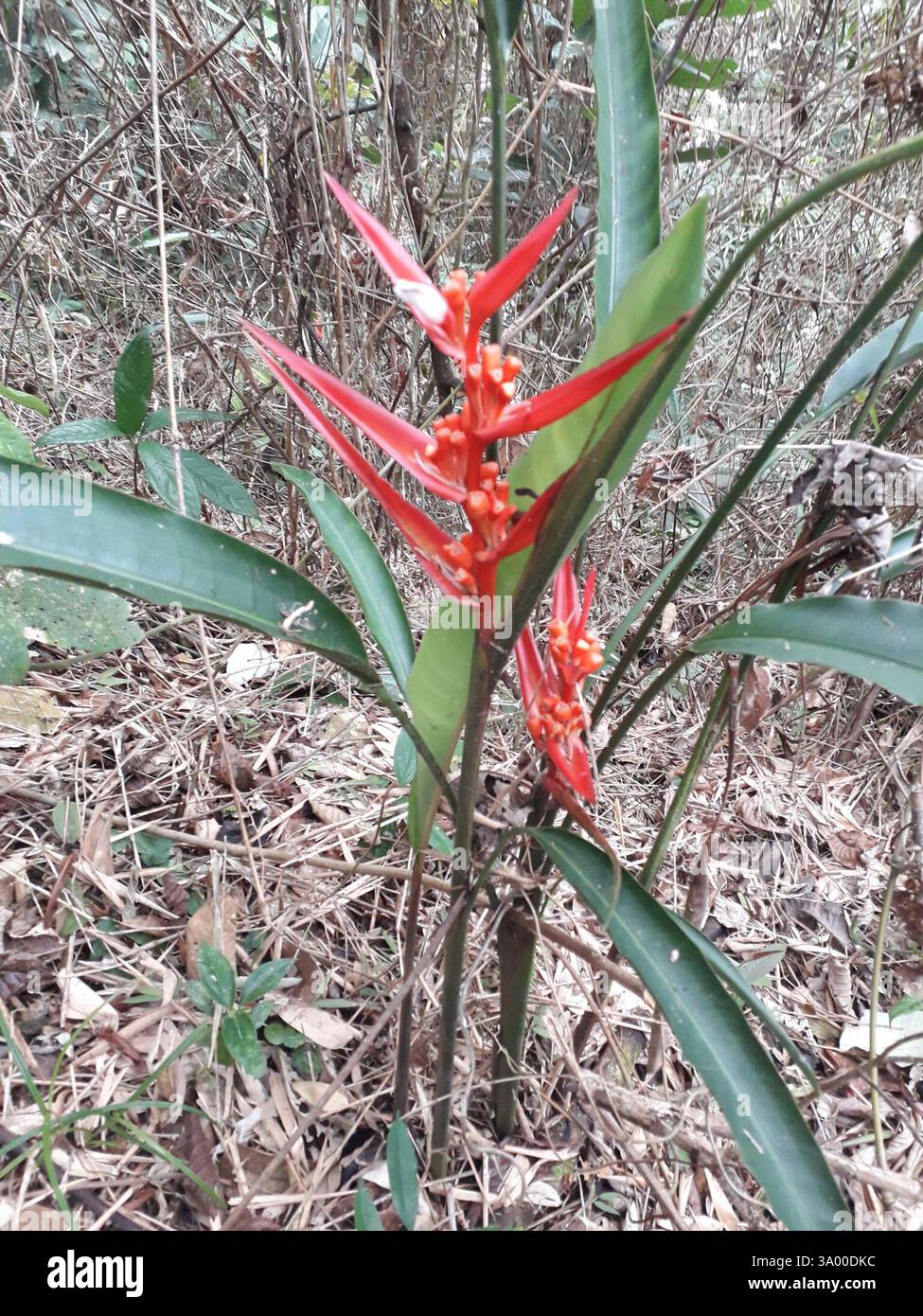 Fazenda da praia hi-res stock photography and images - Alamy