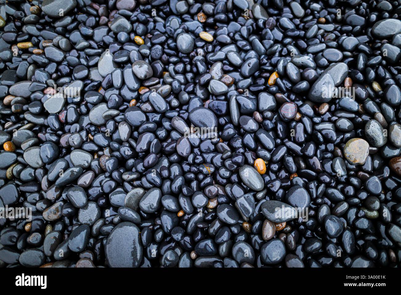Various polished black pebbles scatter across the beach, showcasing a ...